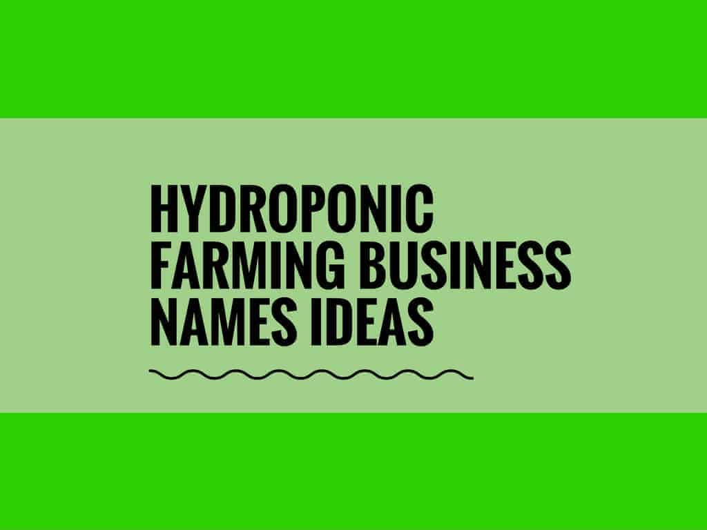951+ Hydroponic Company Names Ideas (Video+Infographic)