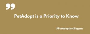 181+ Catchy Pet Adoption Slogans | ThebrandBoy