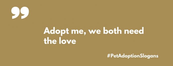 181+ Catchy Pet Adoption Slogans | ThebrandBoy