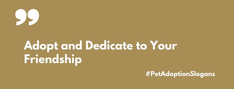 181+ Catchy Pet Adoption Slogans | ThebrandBoy