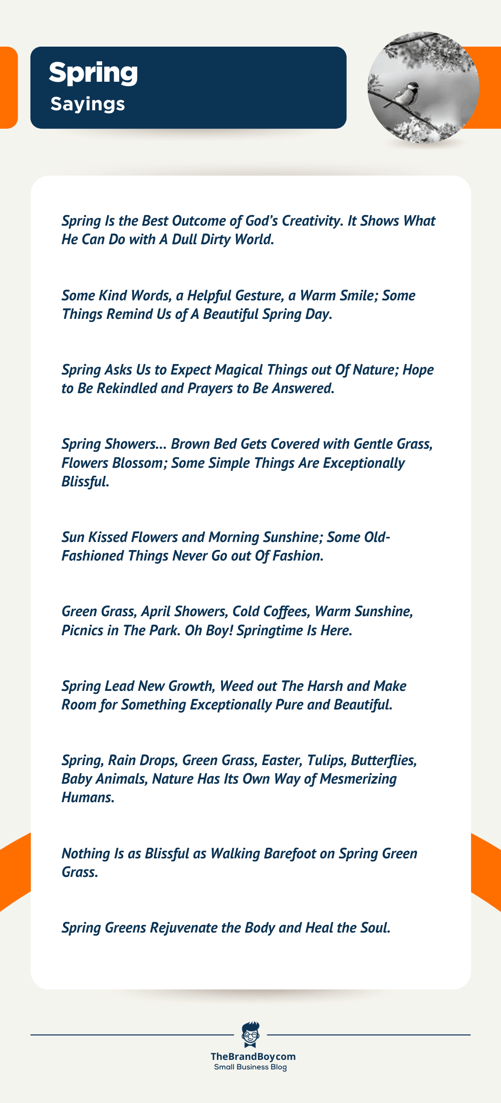 650+ Catchy Spring Slogans And Phrases (Generator + Guide) - Thebrandboy