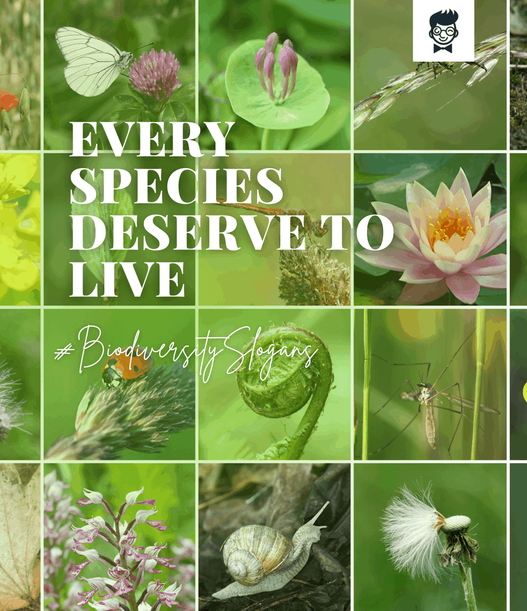 450+ Amazing Biodiversity Slogans -TheBrandBoy.com