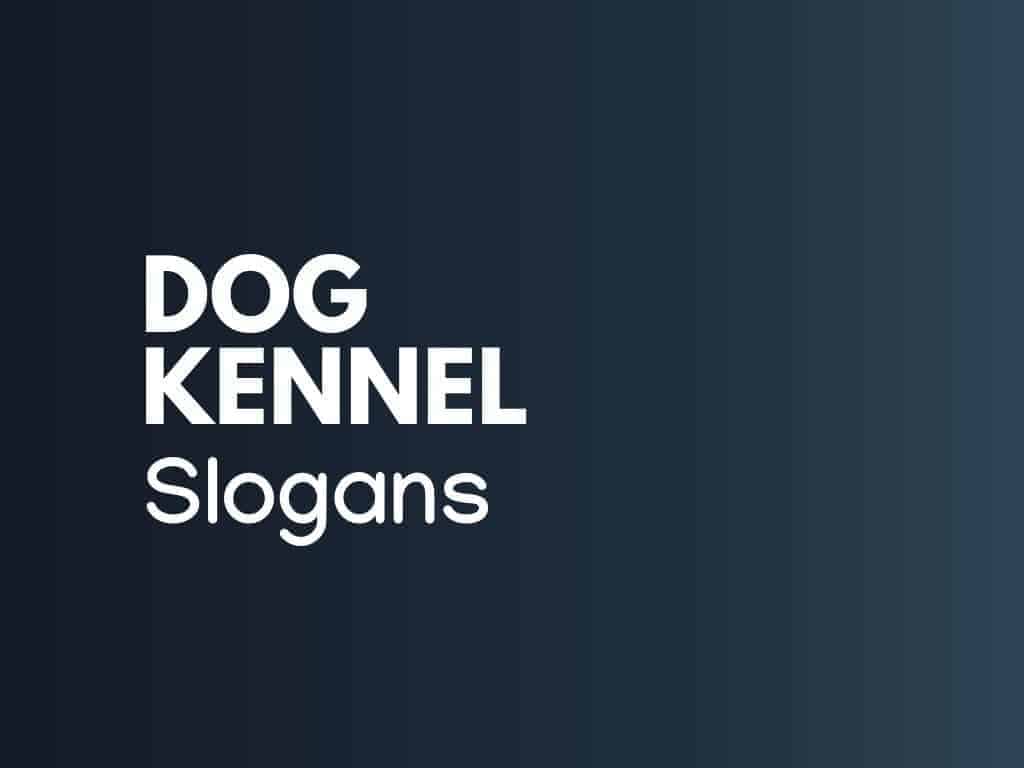 740 Best Dog Kennel Slogans And Taglines Generator Guide