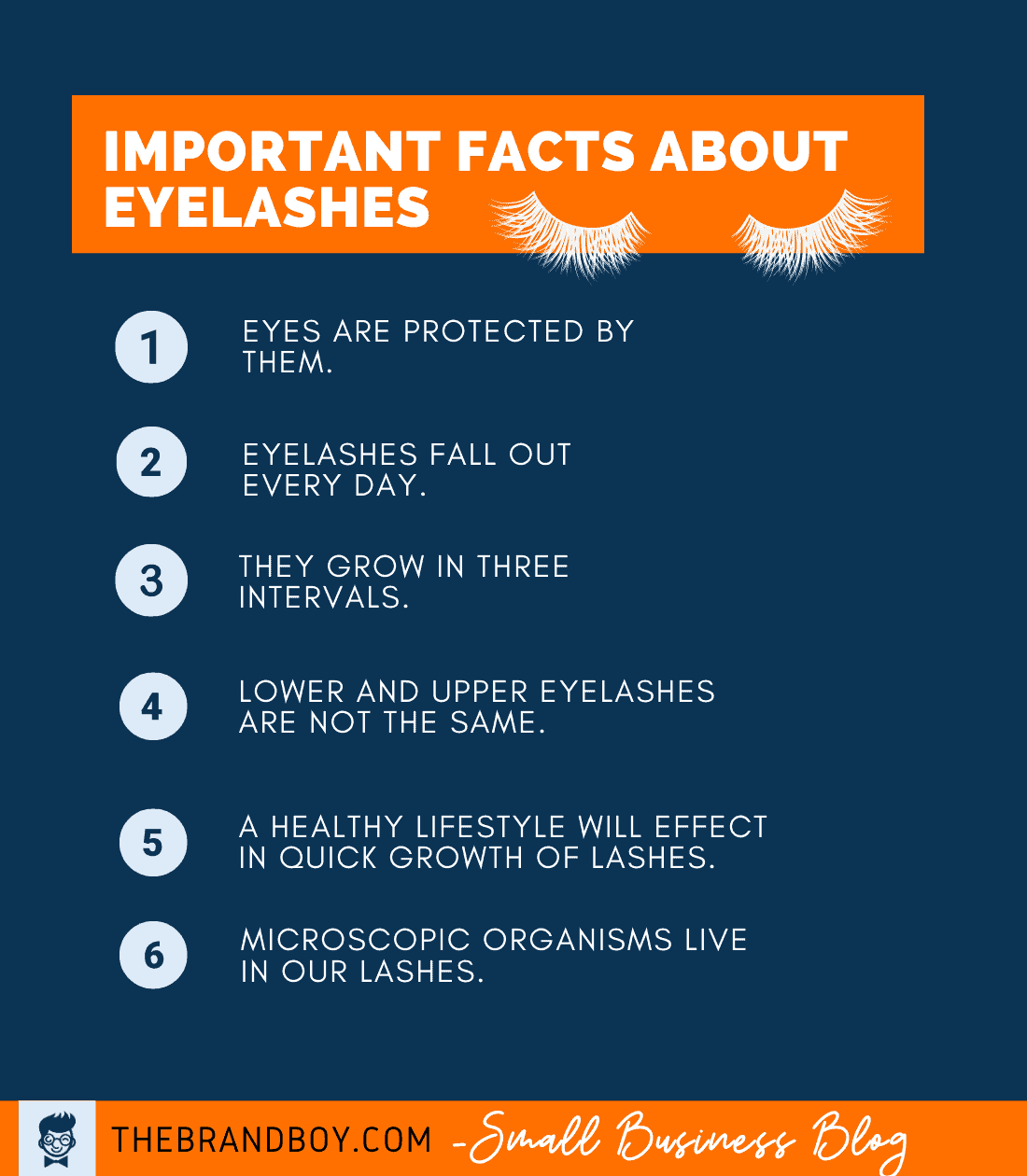 751+ Catchy Lash Slogans Collection - TheBrandBoy.com