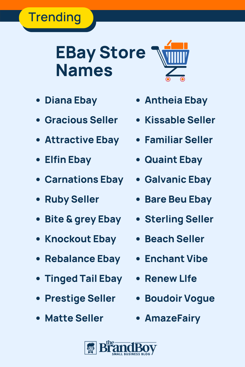 900+ eBay Store Names Ideas (Video+ Infographic)