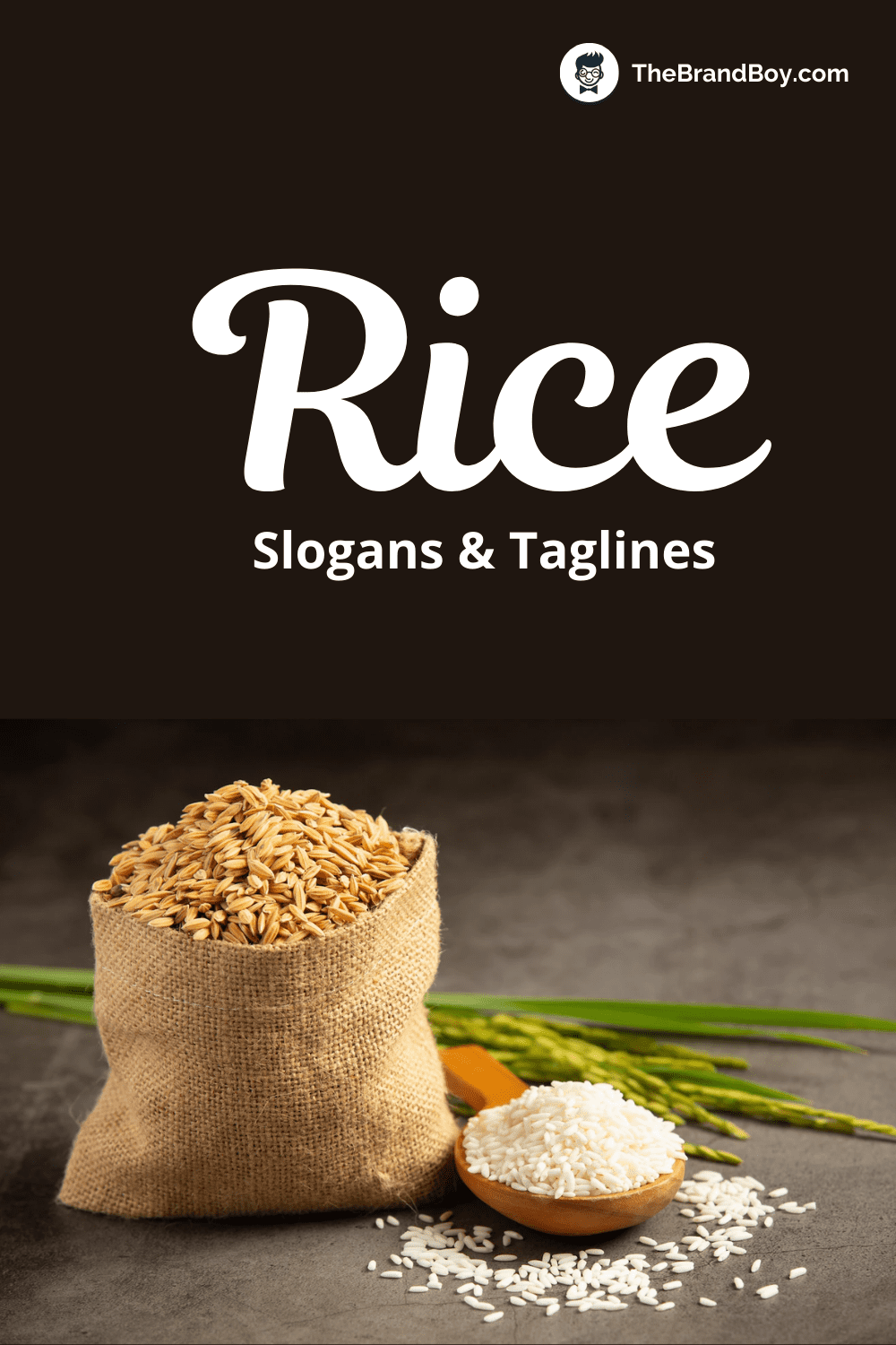 871+ Rice Slogans for Perfect Marketing - theBrandboy.com