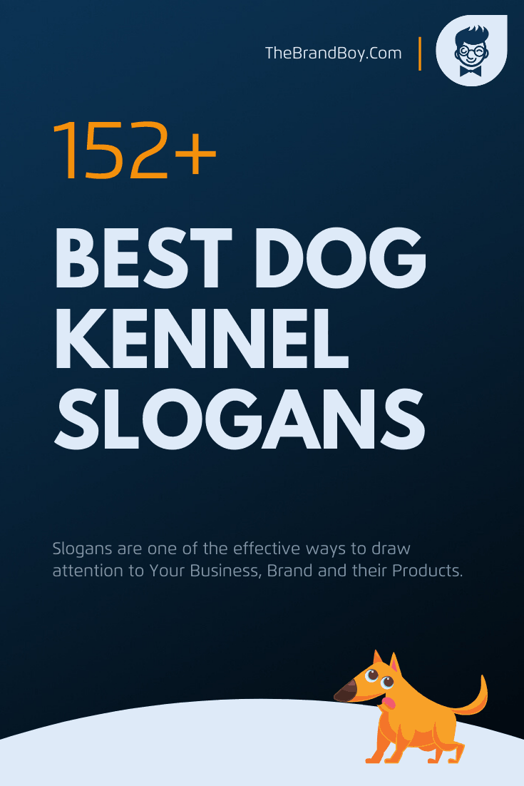 740 Best Dog Kennel Slogans And Taglines Generator Guide