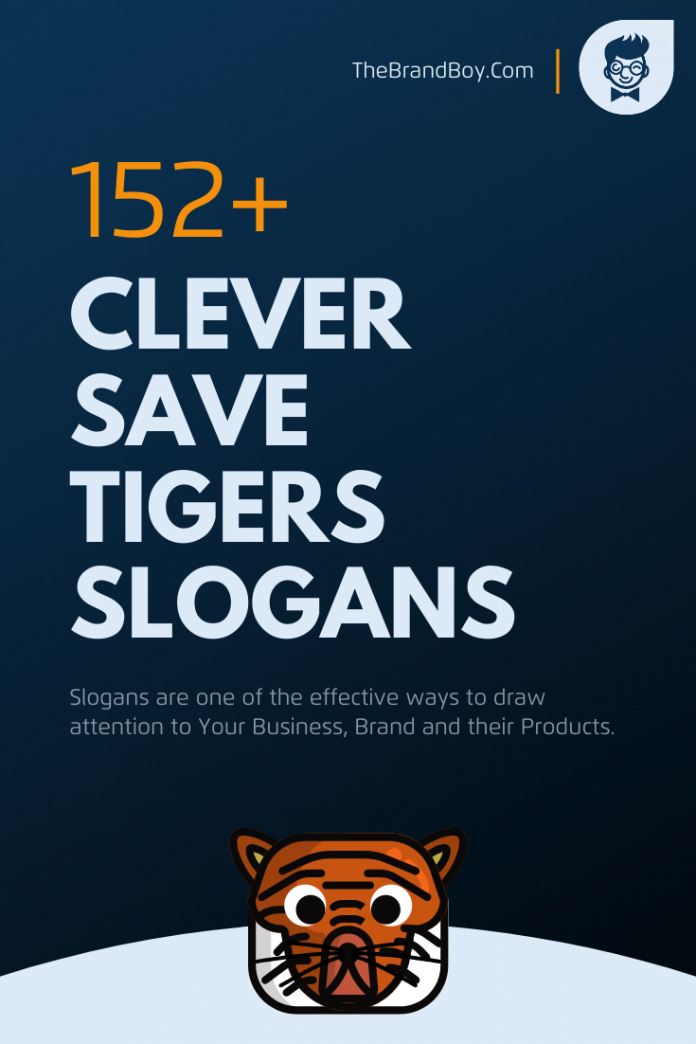 208+ Clever Save Tigers Slogans - thebrandboy.com