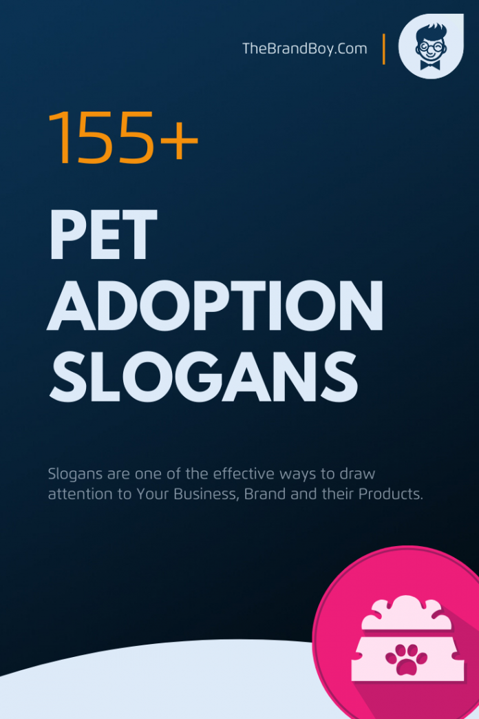 181 Catchy Pet Adoption Slogans ThebrandBoy