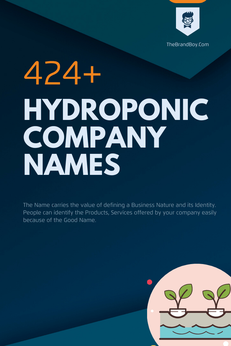 951+ Hydroponic Company Names Ideas (Video+Infographic)