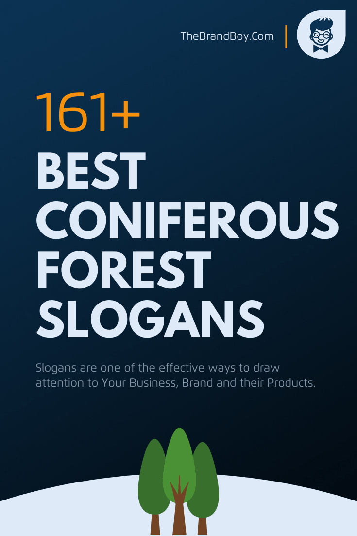 871+ Best Forest Slogans And Taglines (Generator + Guide) - Thebrandboy.com