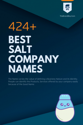 475+ Best Salt Company Names -theBrandBoy.com