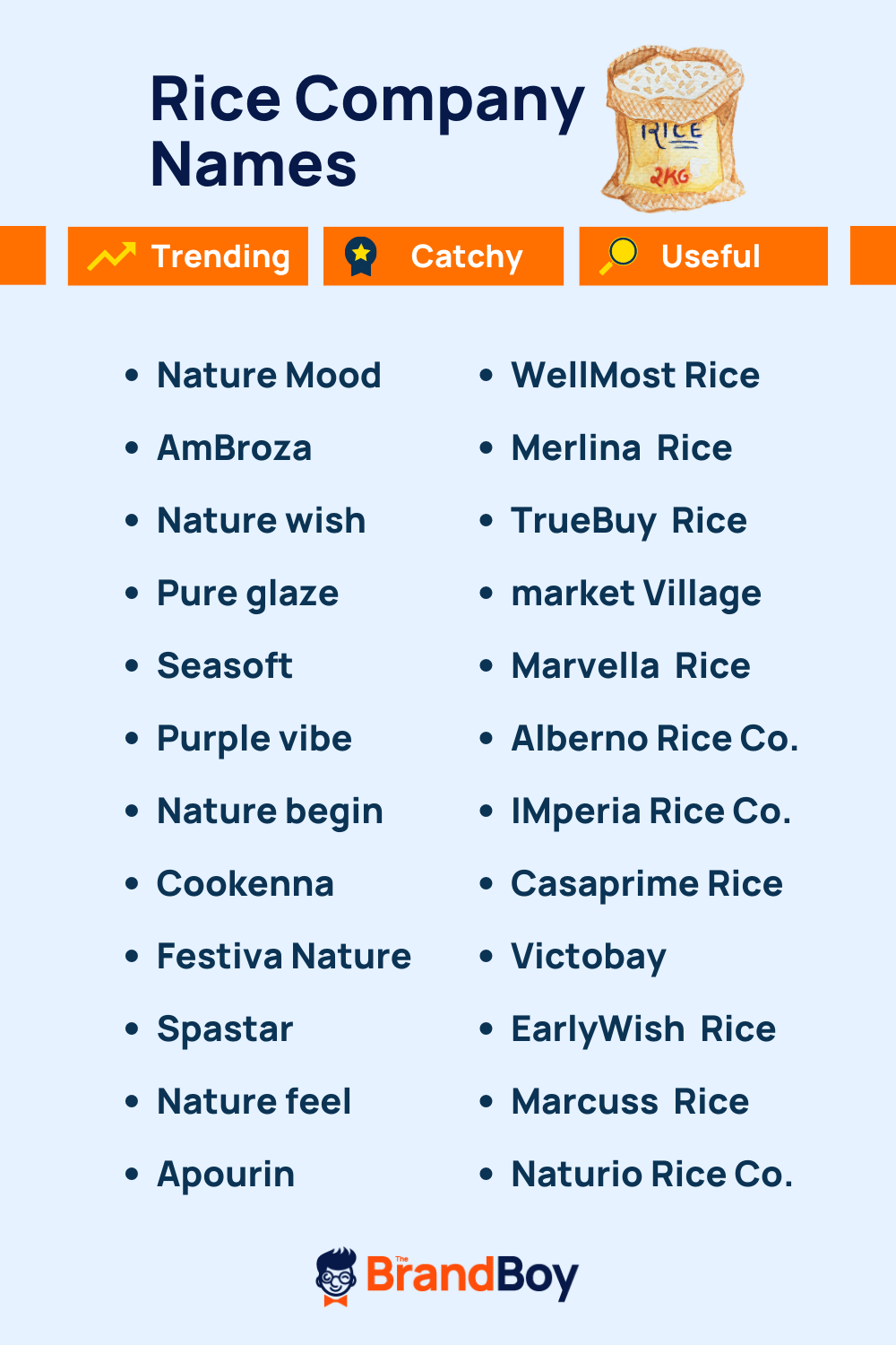 1010+ Best Rice Brand Names + Ideas