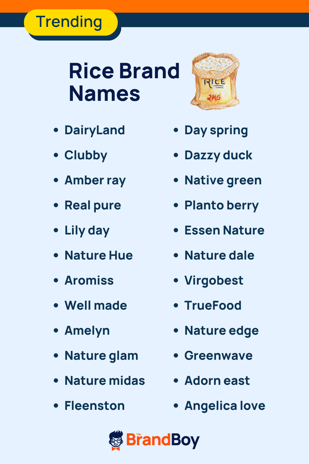 Rice Brand Names: 510+ Best And Catchy Names - theBrandBoy.Com