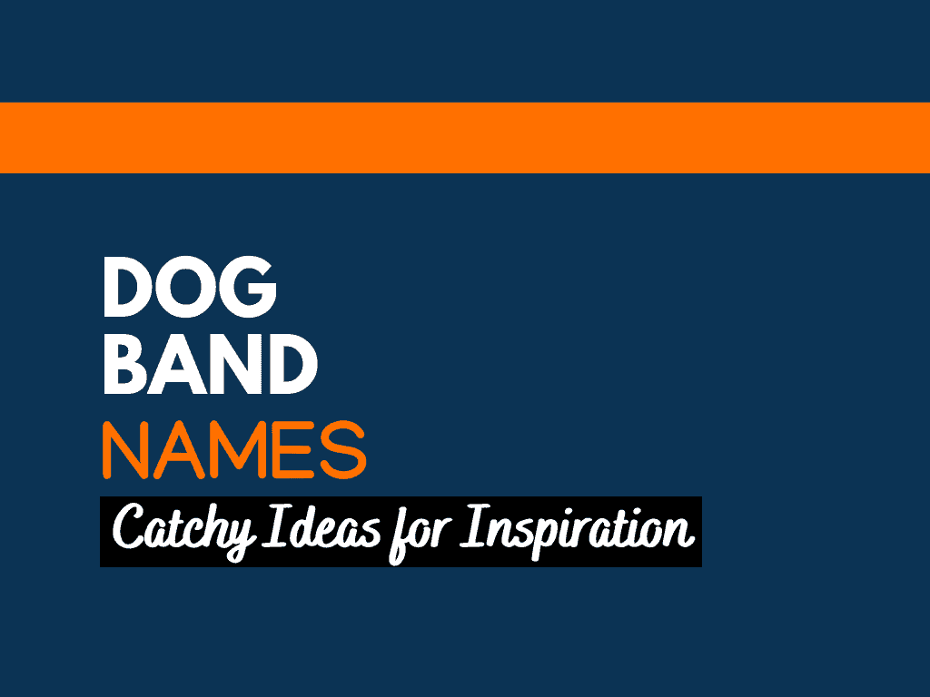60+ Cool Dog Band Names - theBrandBoy.Com