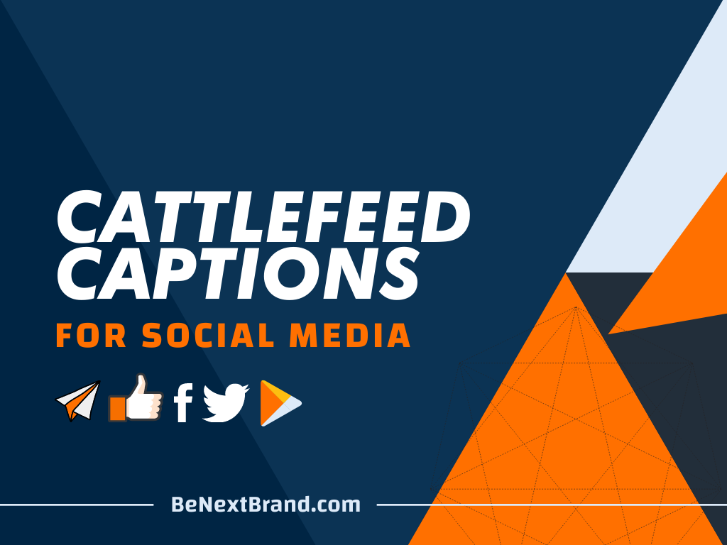 151+ Catchy Cow Captions For All Social Media - BeNextBrand.Com