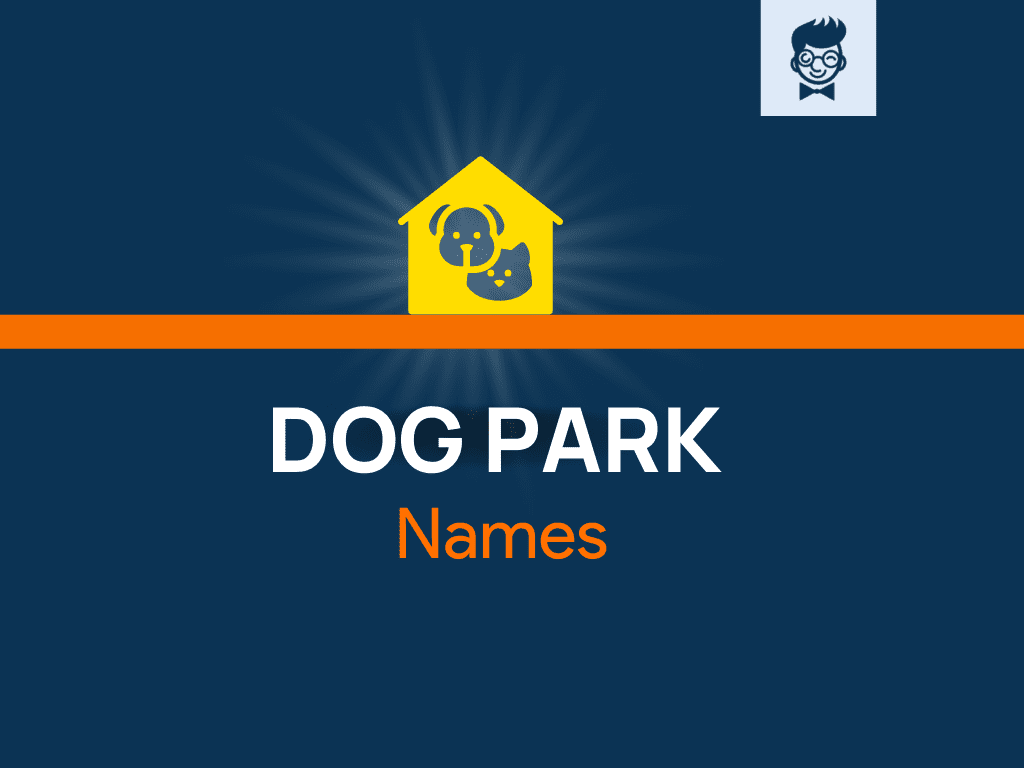 Dog Park Names 551 Cute Lovely Names Collection BrandBoy