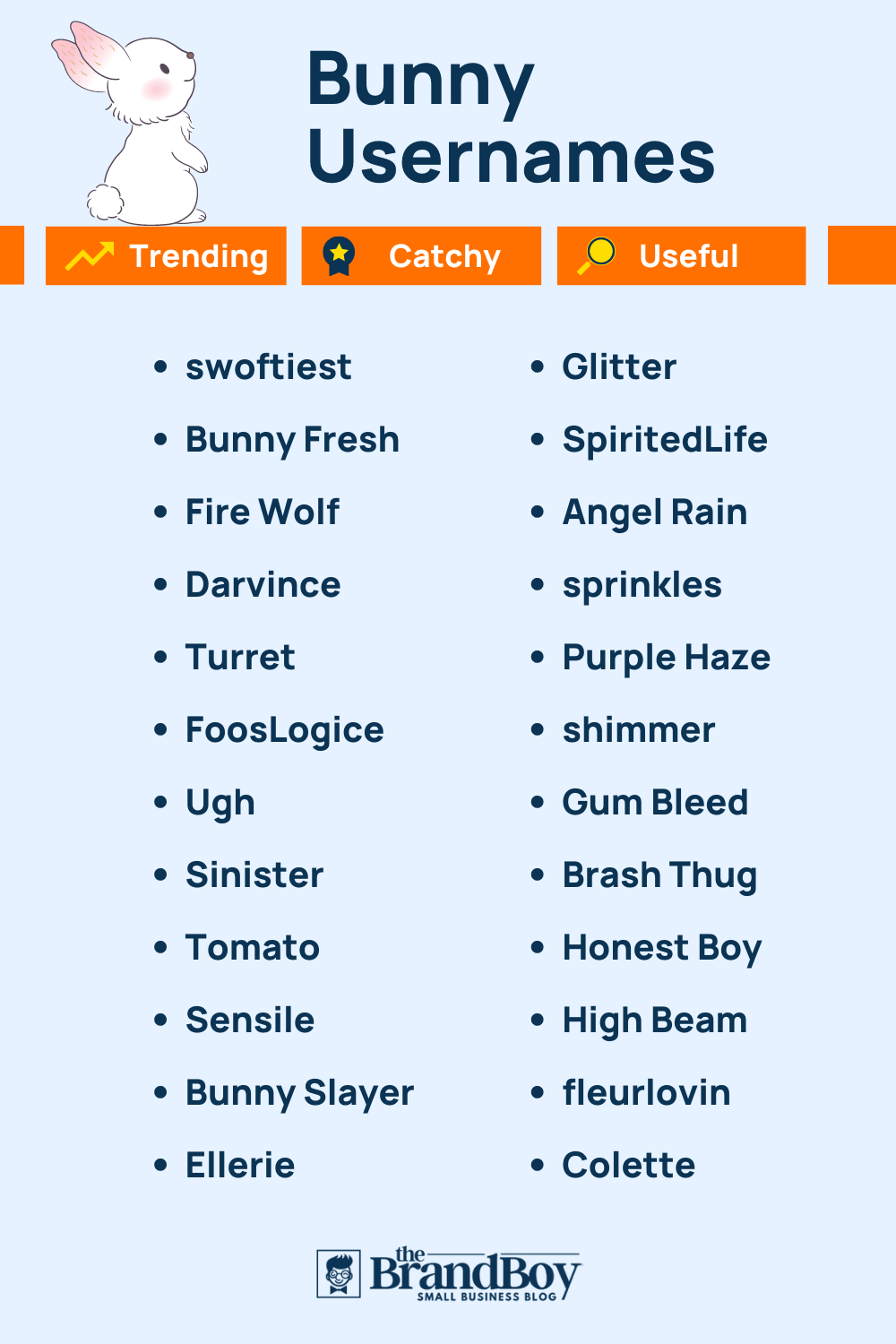 600+ List Of Cool Bunny Usernames With Generator - BrandBoy