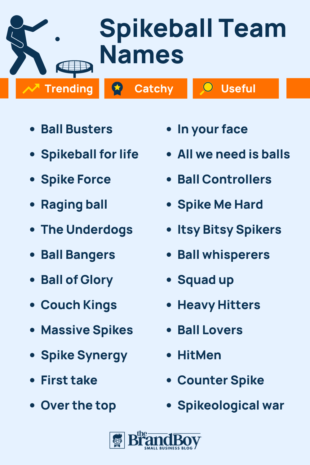 600 Cool Spikeball Team Names Ideas - BrandBoy