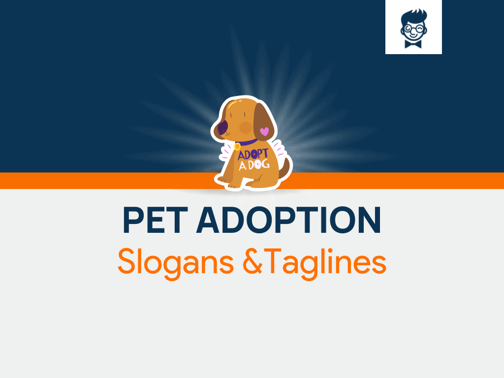 Top 128 Animal Shelter Sayings Merkantilaklubben