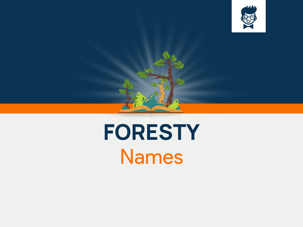 Foresty Names: 600+ Catchy and Cool Names