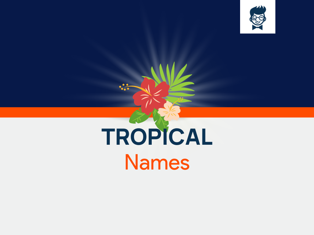 Tropical Names 670 Catchy And Cool Names BrandBoy Tropical Names 670 Catchy And Cool Names BrandBoy