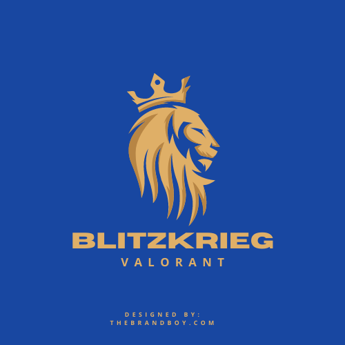920+ Valorant Team Names And Ideas (Generator + Logos) - BrandBoy