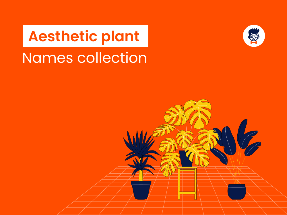 List Of Aesthetic Plant Names Collection Generator BrandBoy list-of-aesthetic-plant-names-collection-generator-brandboy