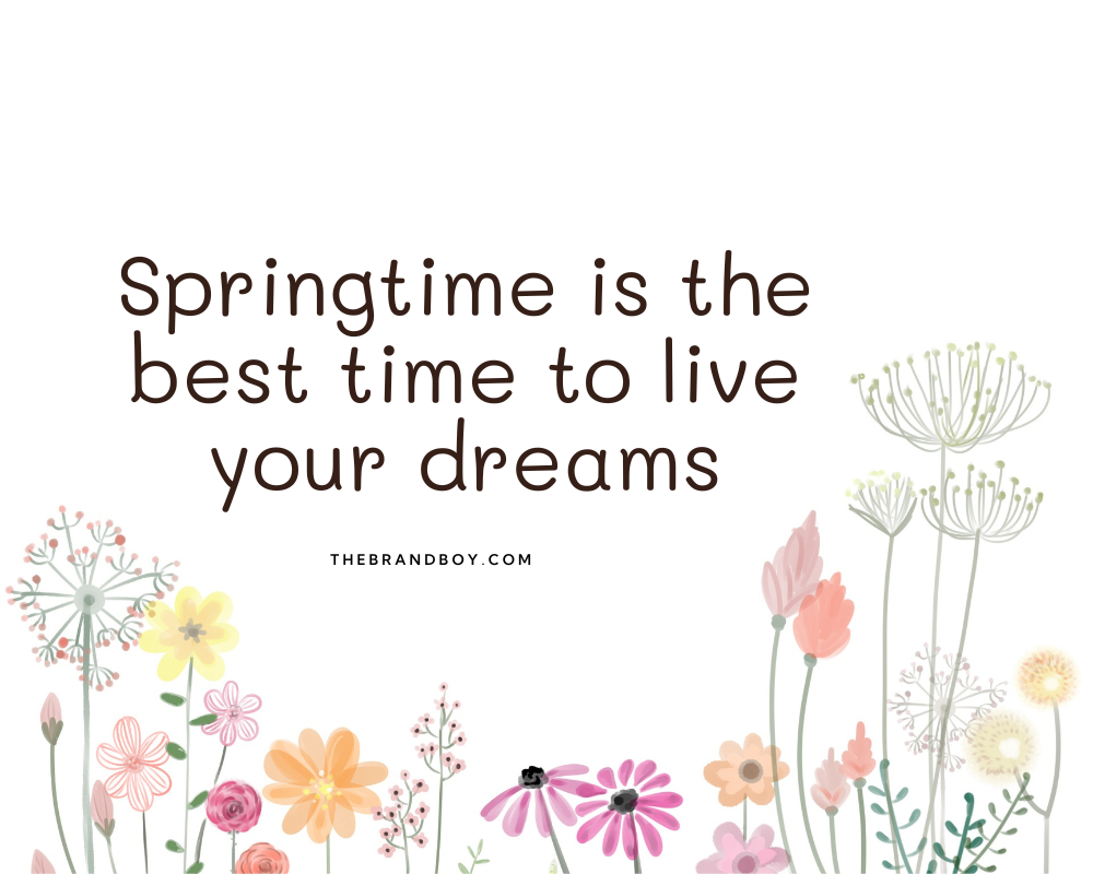 650+ Catchy Spring Slogans And Phrases (Generator + Guide) - Thebrandboy