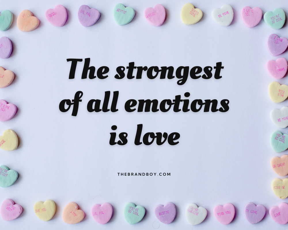574+ Awesome Love Slogans and tagline (generator + guide) | Thebrandboy.com