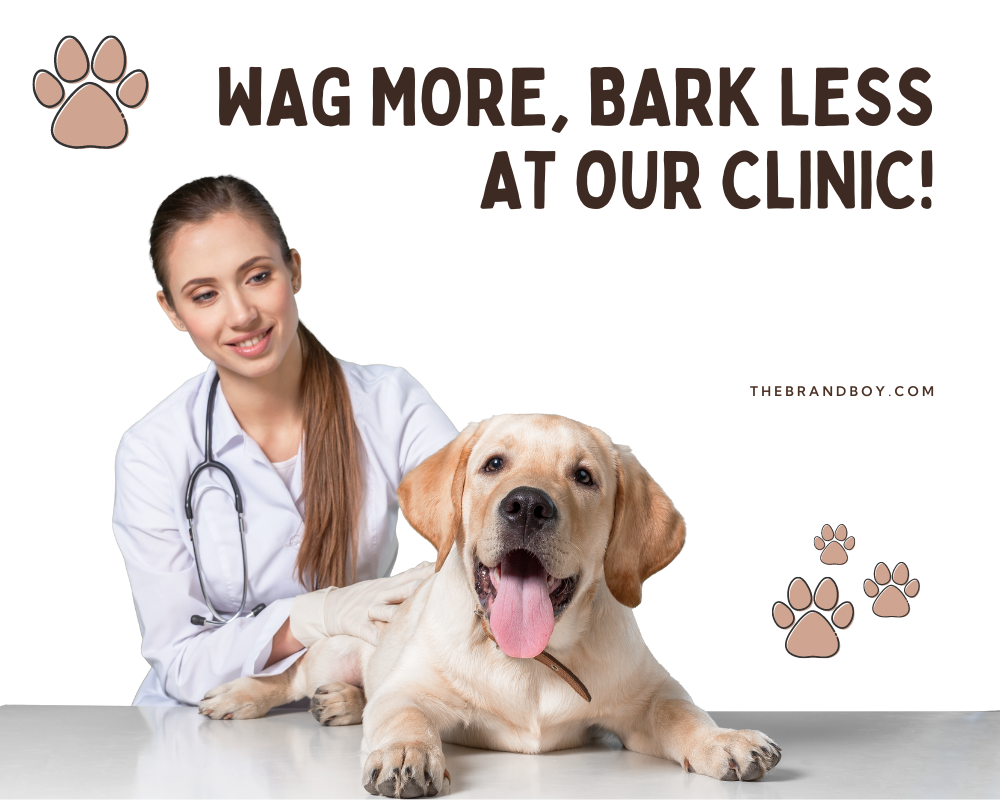 495+ Vet Slogans And Taglines (Generator + Guide) - BrandBoy