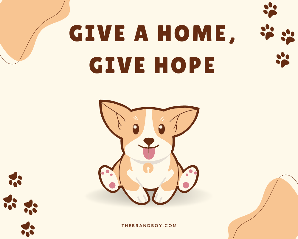 345+ Catchy Pet Adoption Slogans, Sayings, And Phrases