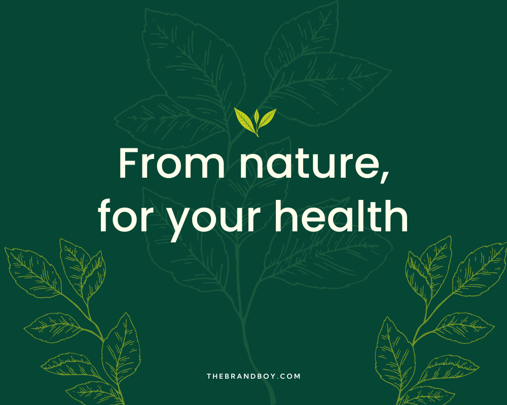 855+ Herbal Slogans That Reflects Nature’s Best! | TheBrandboy