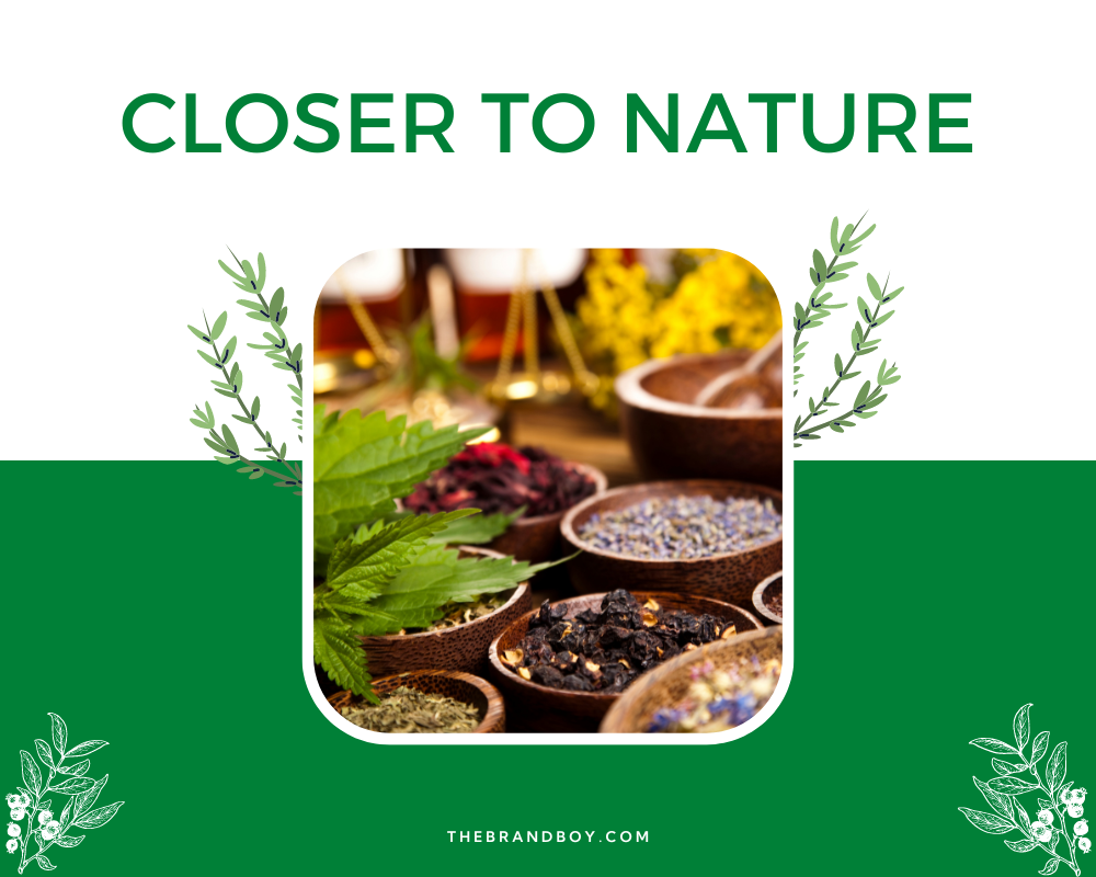 855+ Herbal Slogans That Reflects Nature’s Best! | TheBrandboy