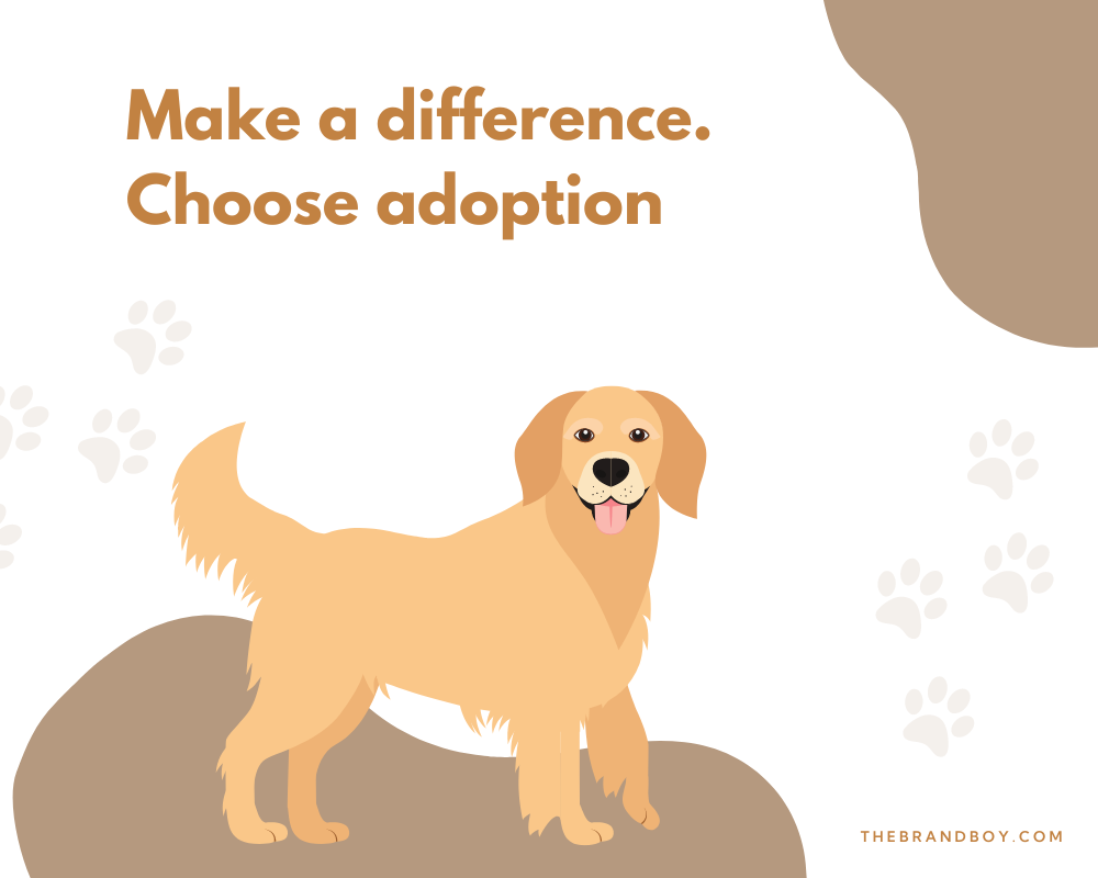 345+ Catchy Pet Adoption Slogans, Sayings, And Phrases