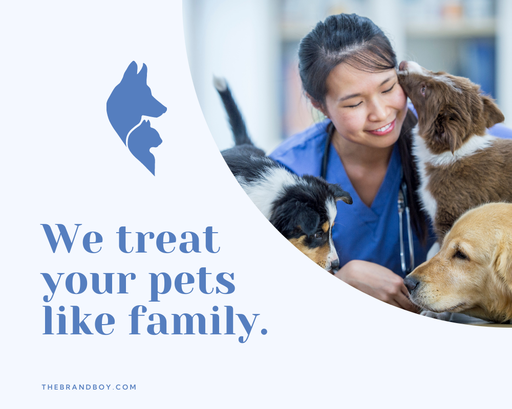 495+ Vet Slogans And Taglines (Generator + Guide) - BrandBoy