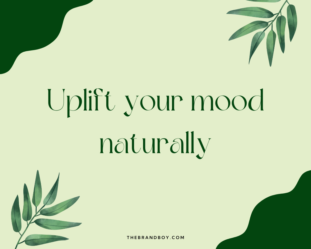 855+ Herbal Slogans That Reflects Nature’s Best! | TheBrandboy