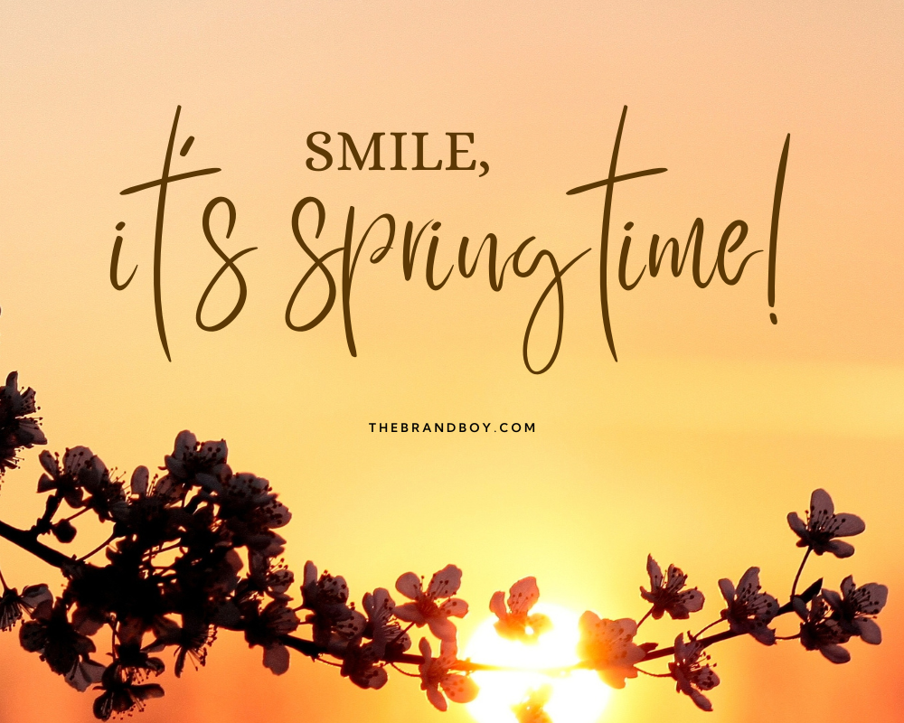 650+ Catchy Spring Slogans And Phrases (Generator + Guide) - Thebrandboy
