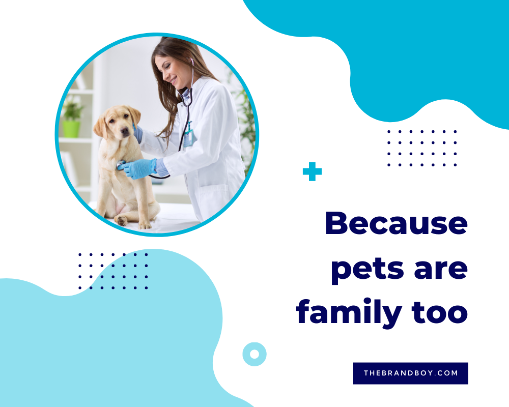 495+ Vet Slogans And Taglines (Generator + Guide) - BrandBoy