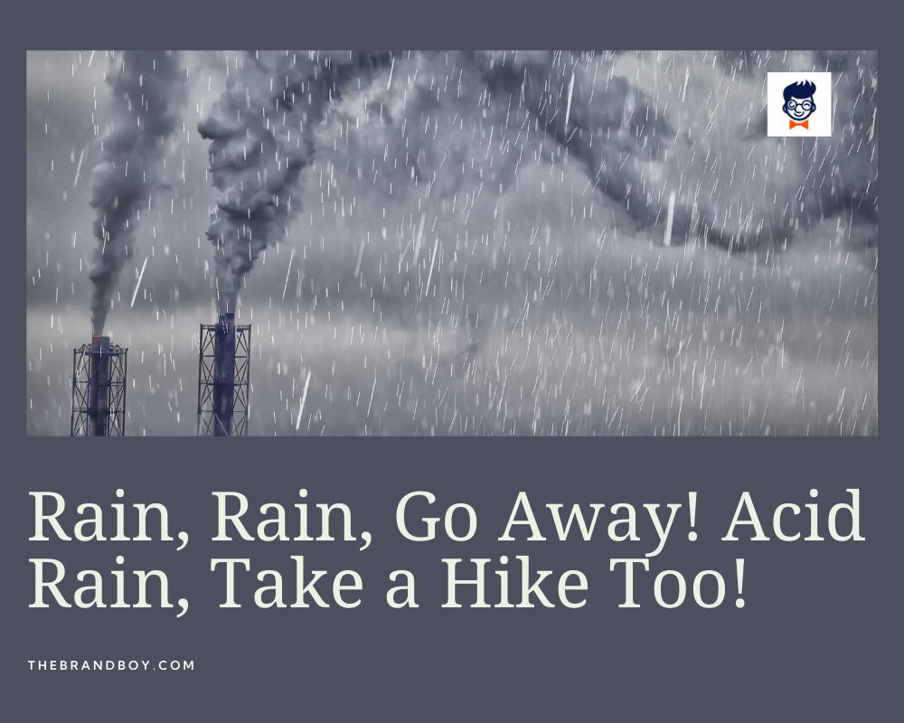 795+ Best Acid Rain Slogans (Generator + Guide) - Thebrandboy.com