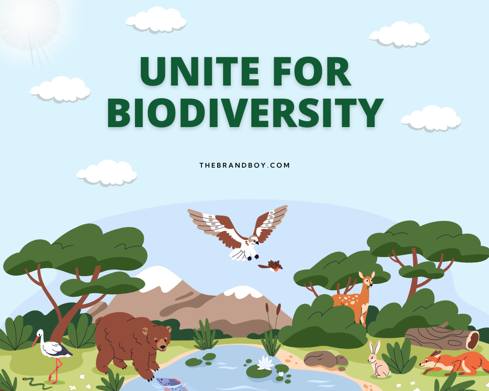 450+ Amazing Biodiversity Slogans -TheBrandBoy.com