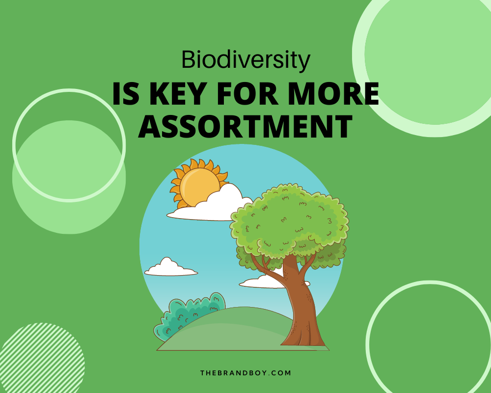 450+ Amazing Biodiversity Slogans -TheBrandBoy.com