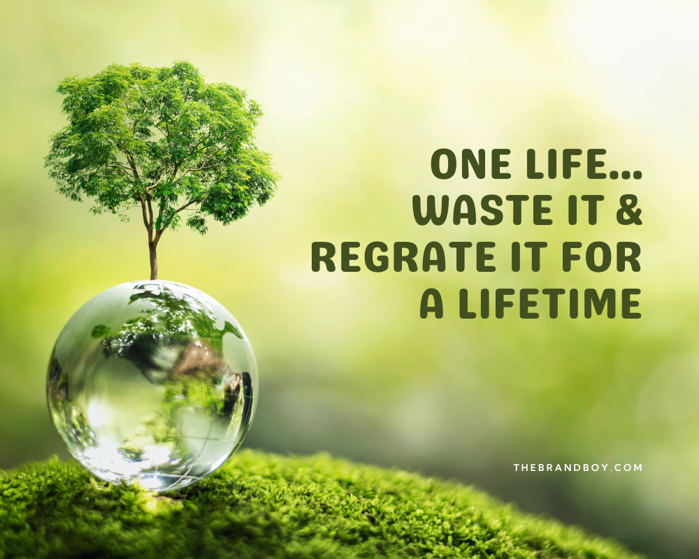 658+ Catchy Sustainability Slogans Collection | thebrandboy