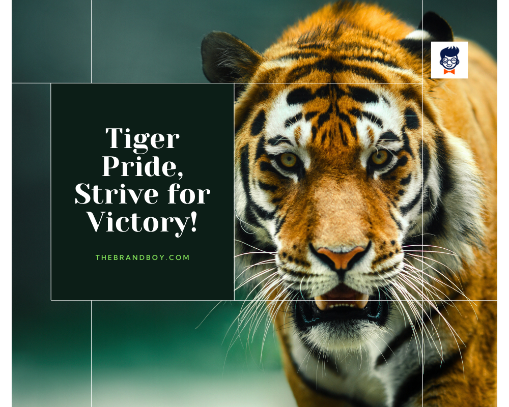 784+ Clever Save Tigers Slogans (Generator + Guide) - Thebrandboy.com