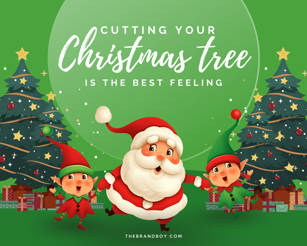 755+ Christmas Slogans That Spreads Joy!- TheBrandBoy.Com