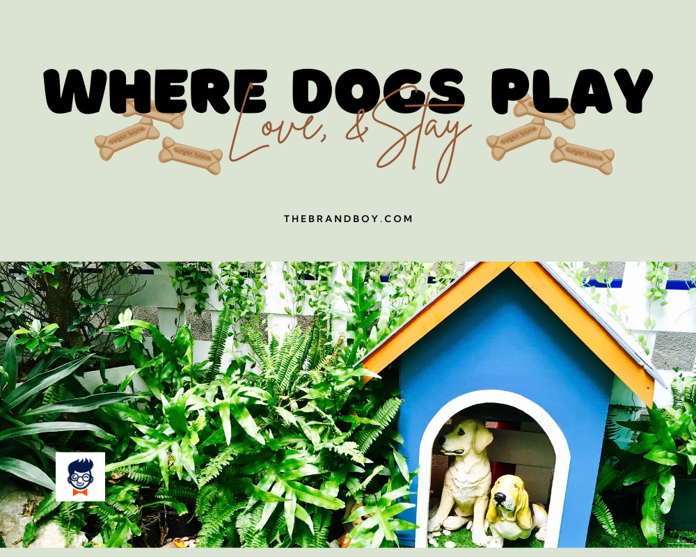 740+ Best Dog Kennel Slogans and Taglines (Generator + Guide ...