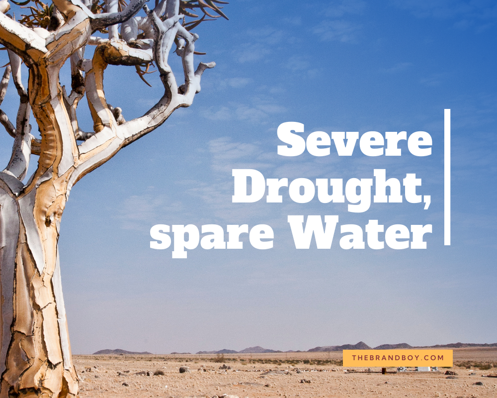 179+ Brilliant Drought Slogans and Sayings (Generator + Guide ...