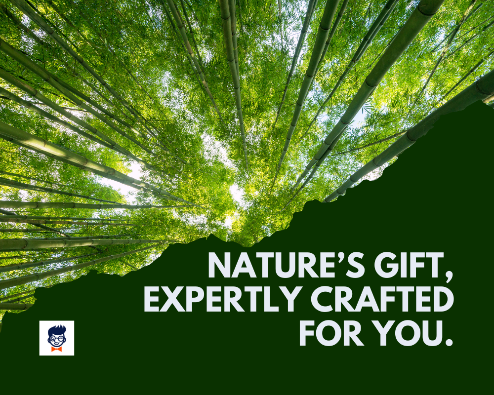 785+ Best Nature Slogans Collection - thebrandboy.com