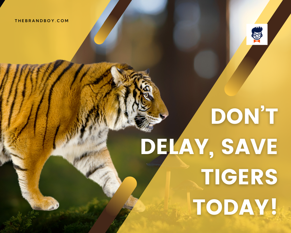784+ Clever Save Tigers Slogans (Generator + Guide) - Thebrandboy.com
