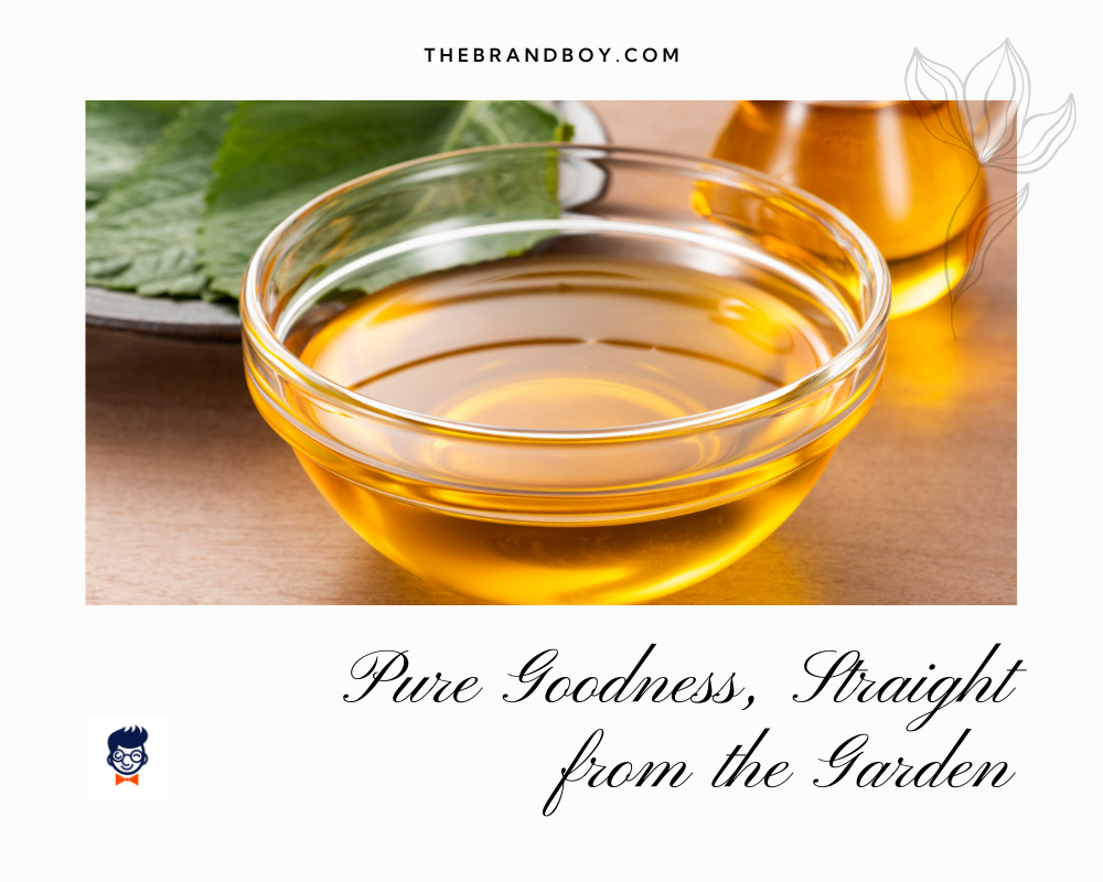 683+ Best Cooking Oil Slogans And Taglines (Generator + Guide ...